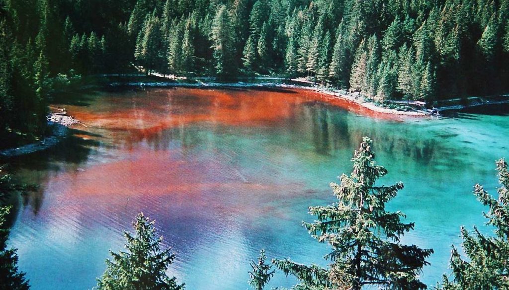 Alla scoperta del Lago di Tovel, il mistero del Lago rosso - Italian ...